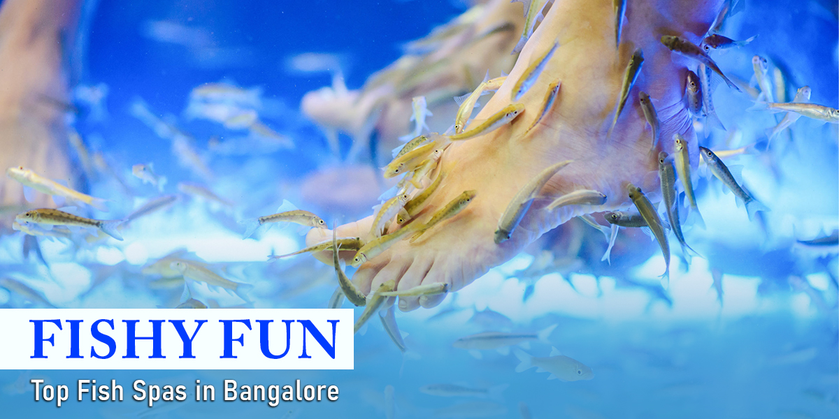 Fishy Fun - Top Fish Spas in Bangalore